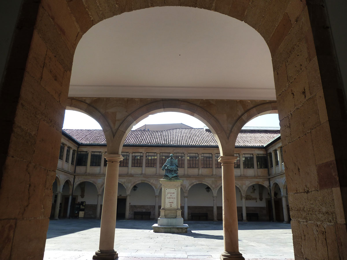 The University of Oviedo (UNIOVI) - ORCHESTRA Cohort